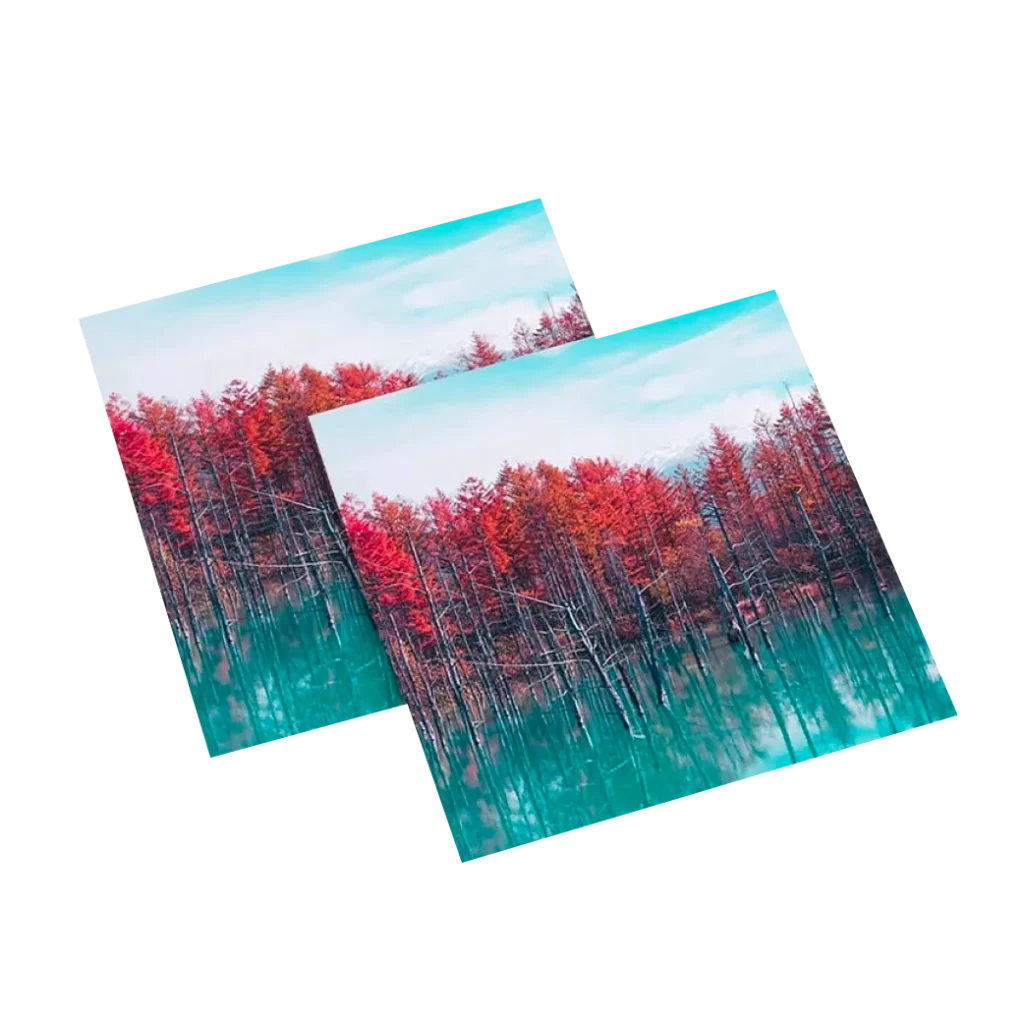 Magnetic Vinyl Signs – ProntaPrint